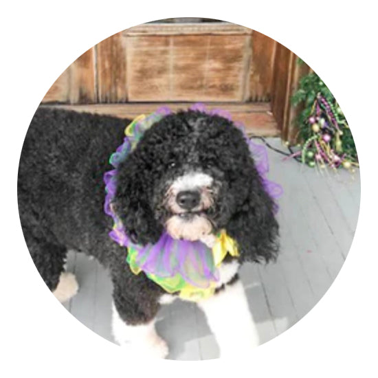 Duke Snoopy Nicaud – Barkus